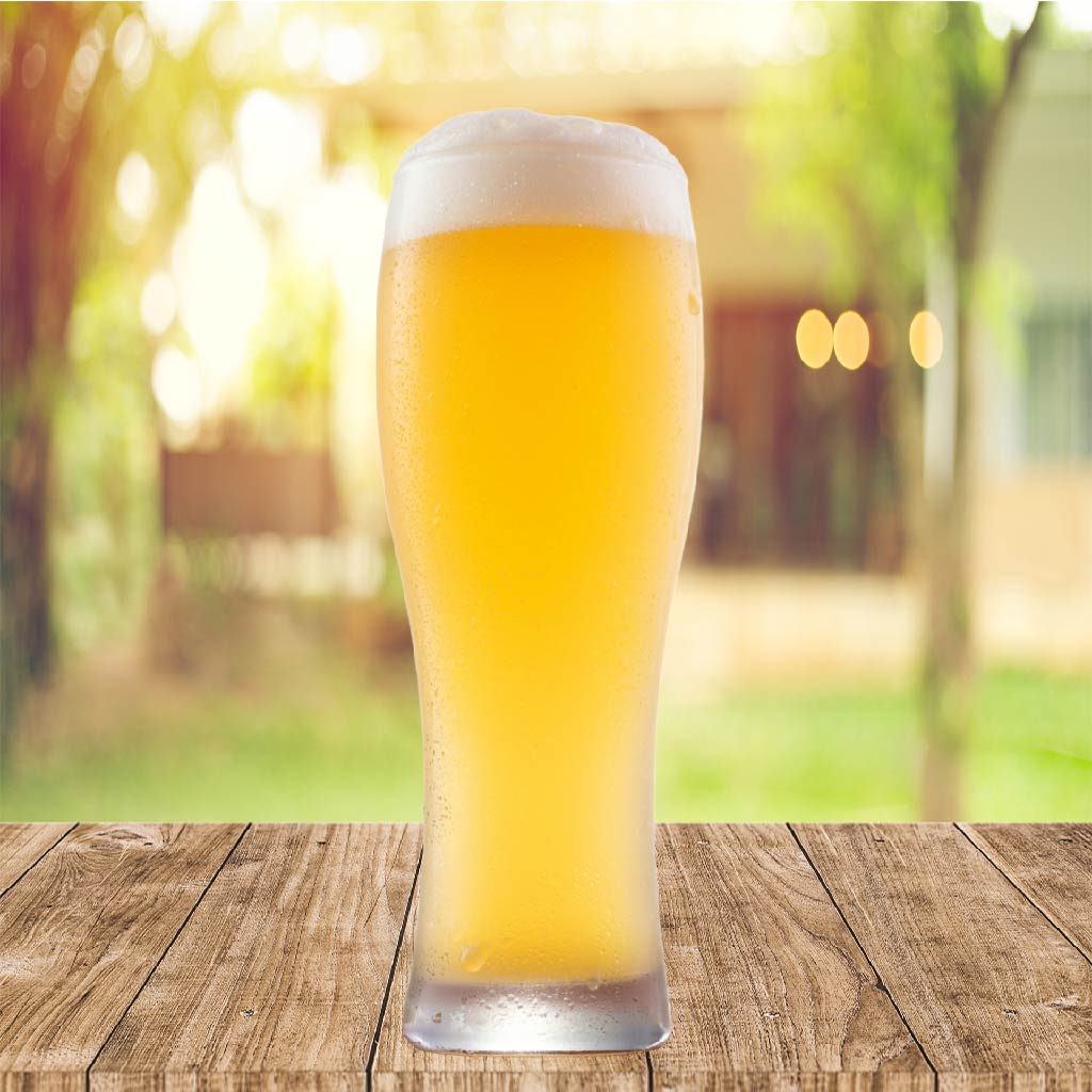 All Grain XPA Recipe Kits