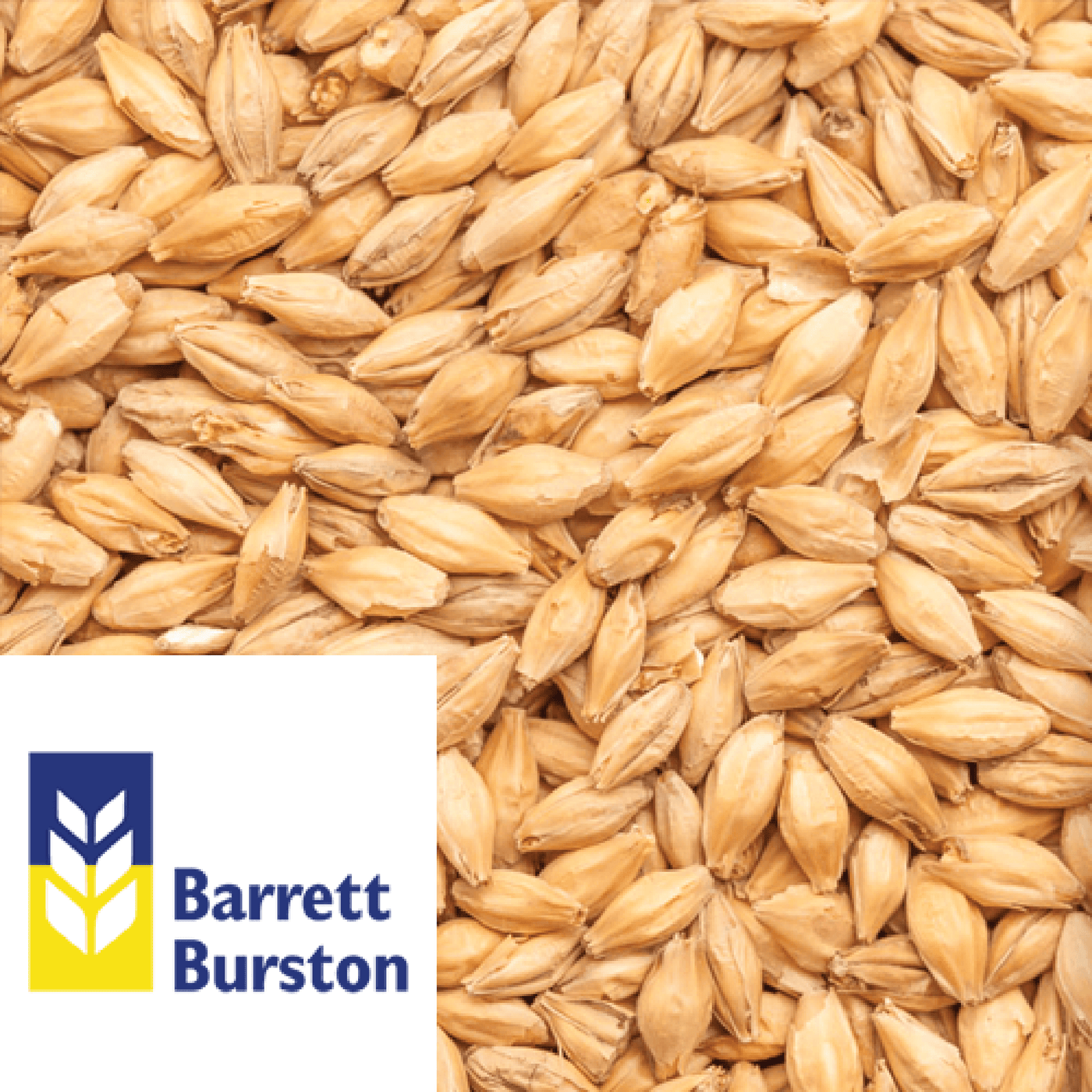 Premium Pilsner Malt (Pale Malt) - Barrett Burston (AUS) - 25kg Sack