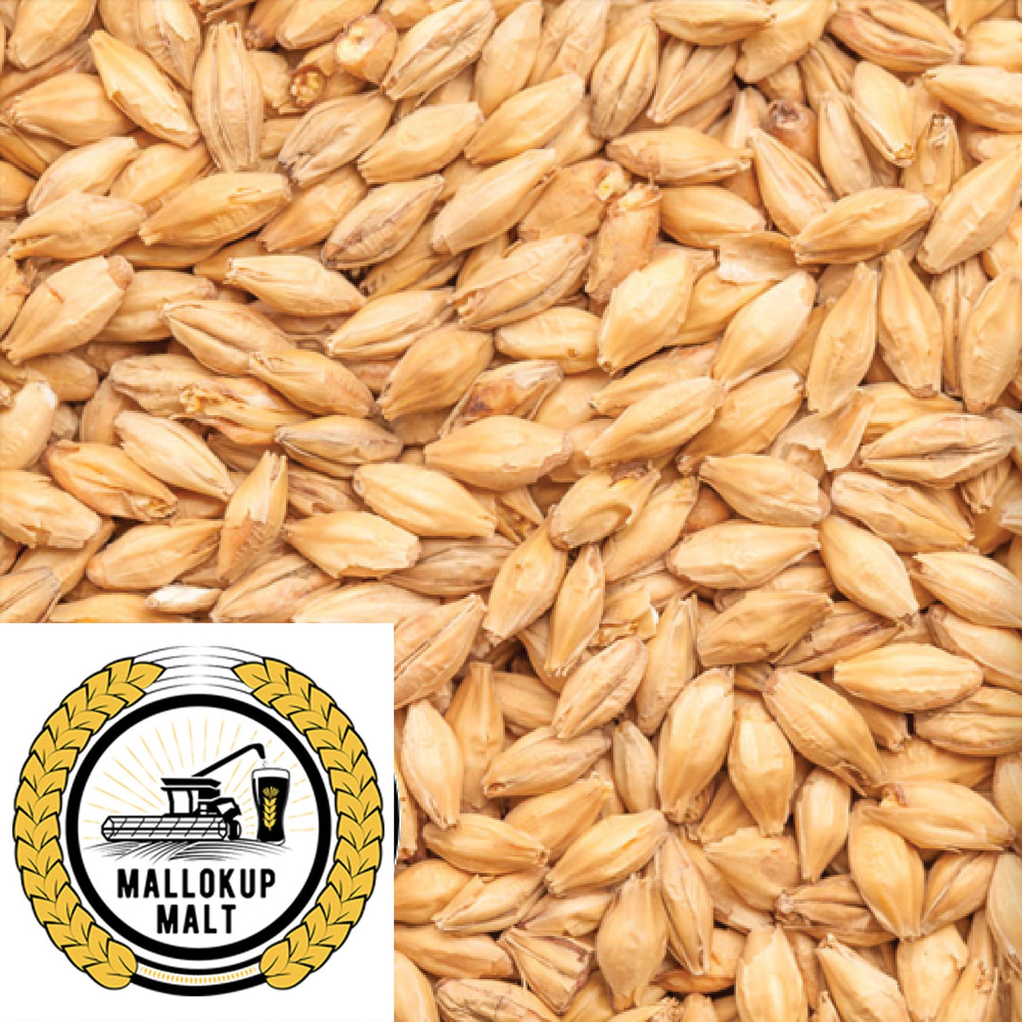 German Pilsner Malt - Mallokup (AUS) - per kg | | Locally Sourced
