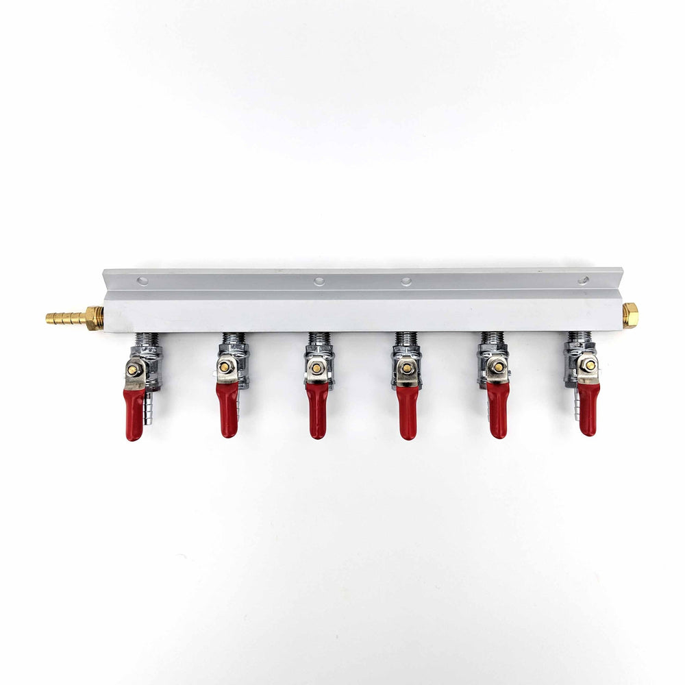 6 Output / 6 Way Manifold Gas Line Splitter with Check Valves (1/4 ...